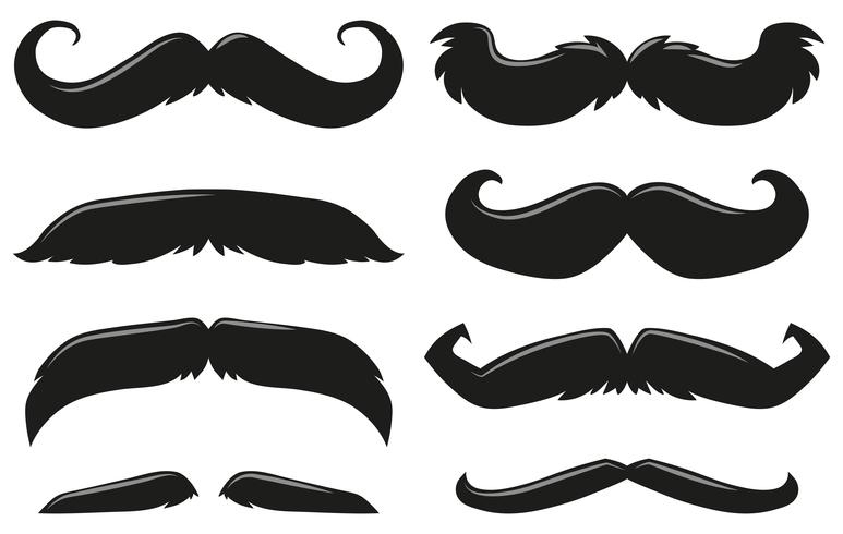 Comment adopter la moustache ? – Net femme